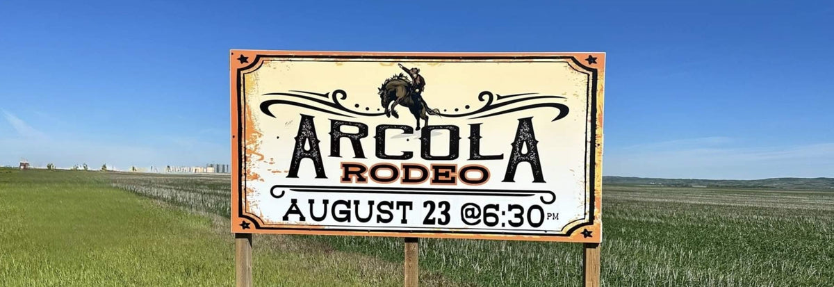 a – Page 2 – Martyn Media